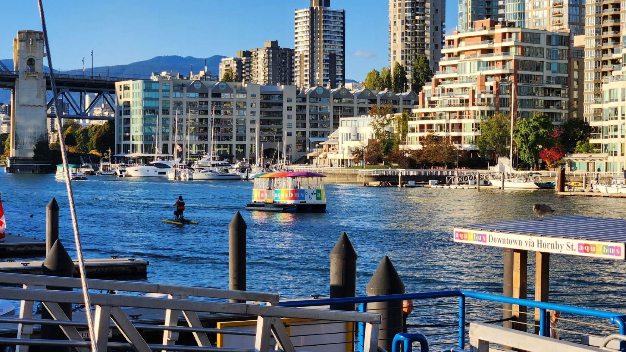 Discovery Princess: Our Conference at Sea | Bites, Flights and Sights